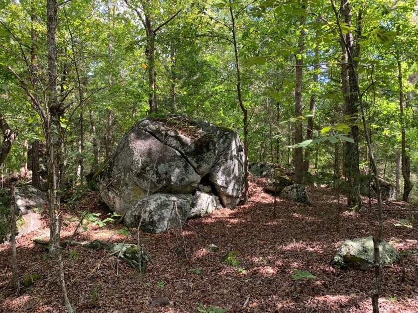 -- Brookside Drive, Abbeville, SC 29620, 3138450