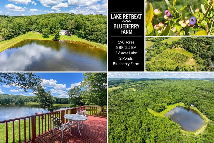 361 Warren Road, Meredith, NY 13753, 6423676