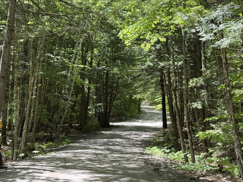 Rocky Point Road, Harrison, ME 04040, 6231855