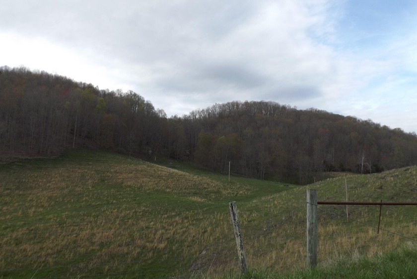 Buffalo Hollow, Castlewood, VA 24224, 2641530