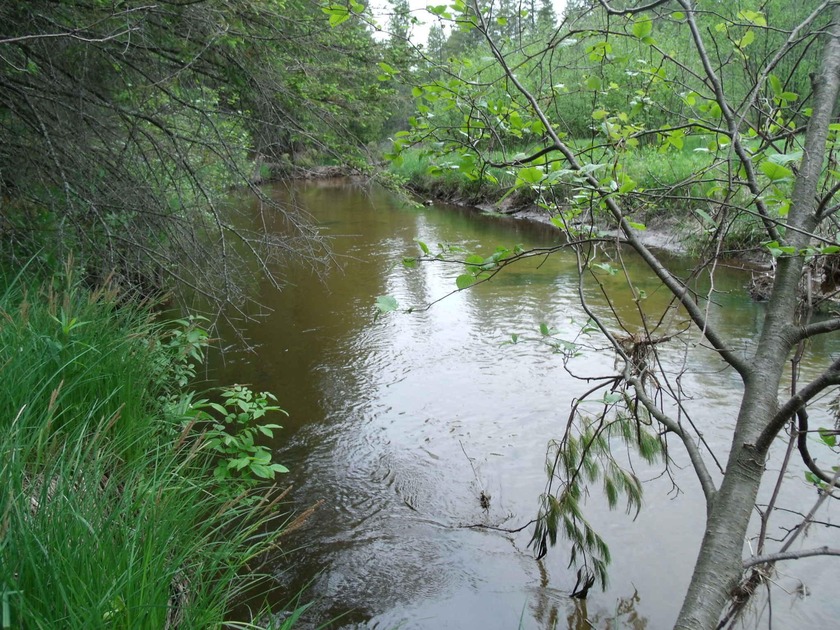 V/L Par 18 Spikehorn Trail, Indian River, MI 49749, 7117969