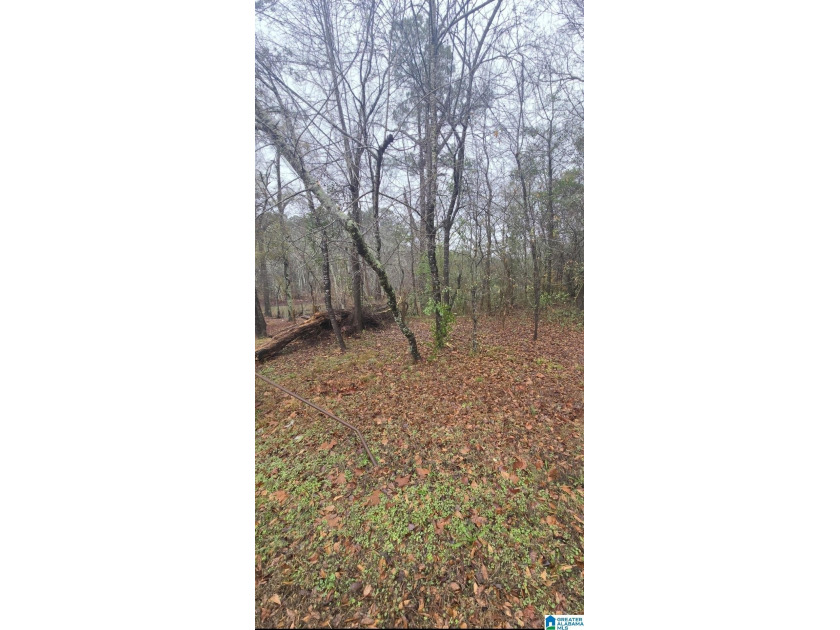 511 LAKEVIEW CIRCLE, Harpersville, AL 35078, 7117525