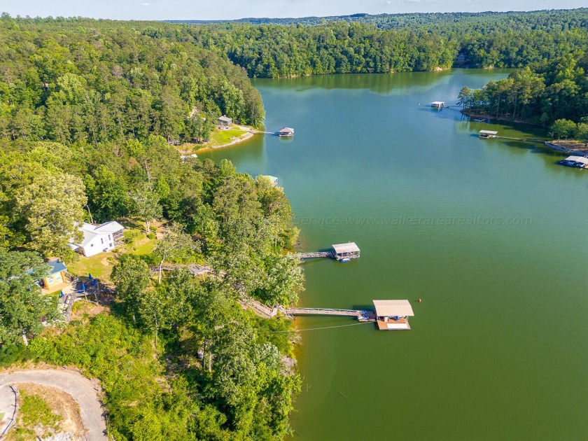 1138 CO RD 214, Arley, Alabama - Lake House Property