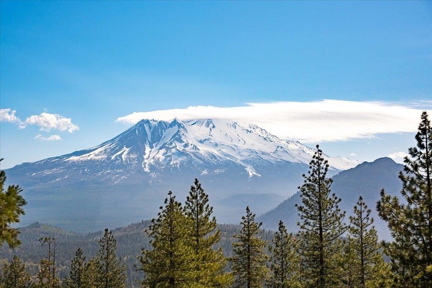 Dale Creek, Weed, CA 96094, 6485360