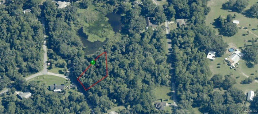 11181 W Cedar Lake Drive, Crystal River, FL 34428, 6966414