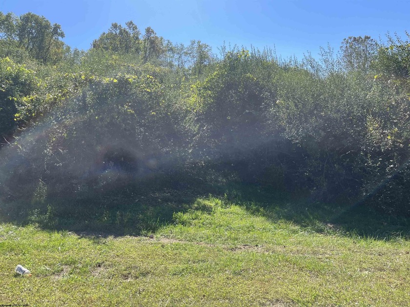 TBA Maple Street, Jane Lew, WV 26378, 7132321