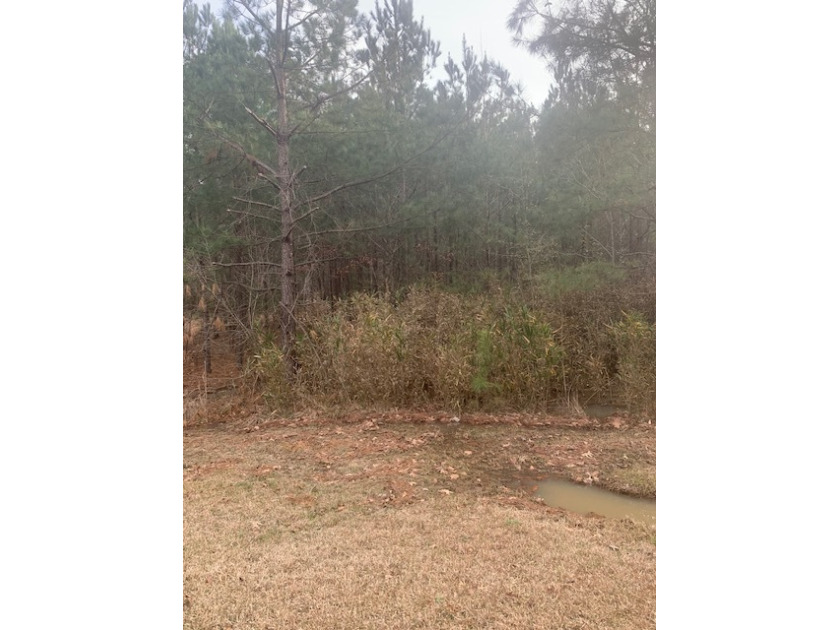 Unit 35 Lot 15 1638, Pachuta, MS 39347, 5764626