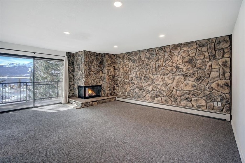 120 E LA BONTE STREET 202, Dillon, CO 80435, 7138415