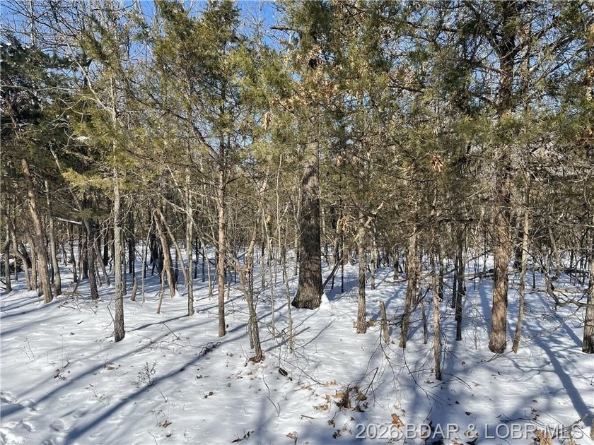 Nile Road, Stover, MO 65078, 7200503