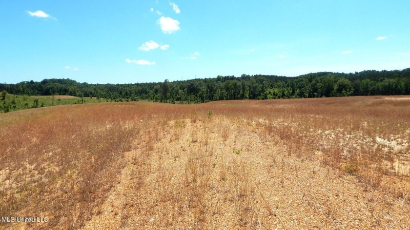 209 Hugh White State Park Road lot: 9, Grenada, MS 38901, 5446270