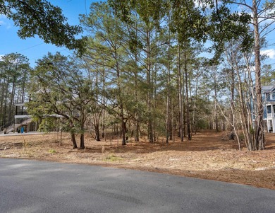 1810 Gray Oaks Dr., Conway, SC 29526, 7130409