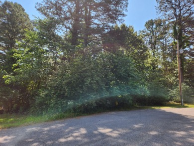 Lake Ludwig Homes for Sale Real Estate Lakefront Property AR