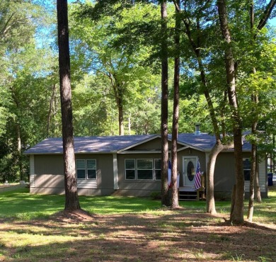 Pinkston Reservoir Homes for Sale Real Estate Lakefront Property TX