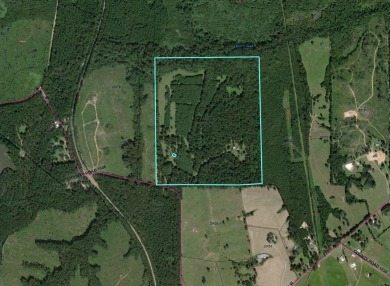 Pinkston Reservoir Homes for Sale Real Estate Lakefront Property TX