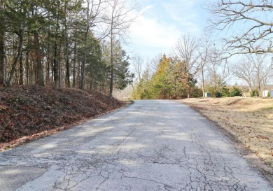 Summerset Lake Homes for Sale Real Estate Lakefront Property MO