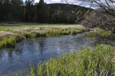 Little Bitterroot Lake Homes for Sale Real Estate Lakefront Property MT