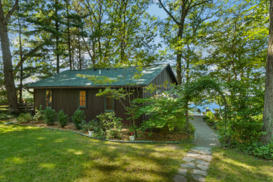 Corey Lake Homes for Sale Real Estate Lakefront Property MI