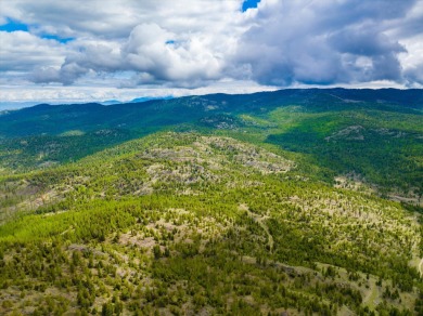 Little Bitterroot Lake Homes for Sale Real Estate Lakefront Property MT