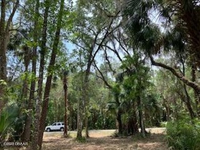 Lake George Homes for Sale Real Estate Lakefront Property FL