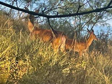 Ransom Canyon Lake Homes for Sale Real Estate Lakefront Property TX