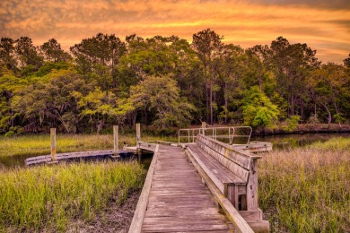 North Edisto River Homes for Sale Real Estate Lakefront Property SC
