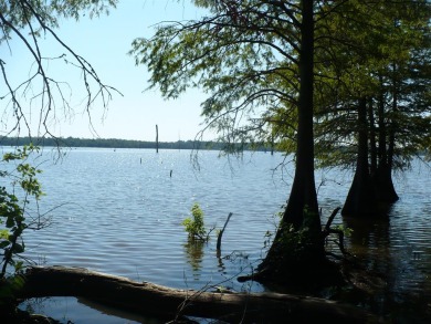 Lake Erling Homes for Sale Real Estate Lakefront Property AR