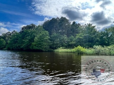 Lake Erling Homes for Sale Real Estate Lakefront Property AR