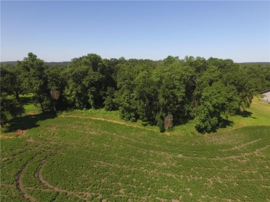 Lake Minnewaska Homes for Sale Real Estate Lakefront Property MN