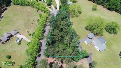 Lake Hartwell Homes for Sale Real Estate Lakefront Property GA