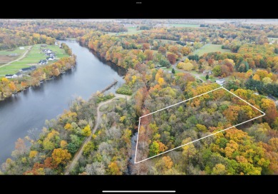 Lake Chapin Homes for Sale Real Estate Lakefront Property MI