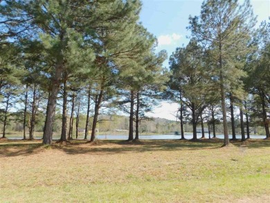 Point A Lake Homes for Sale Real Estate Lakefront Property AL