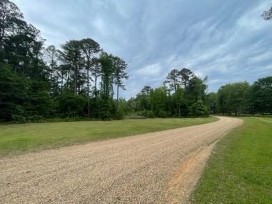 Aliceville Lake Homes for Sale Real Estate Lakefront Property AL