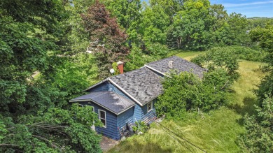 Lake Chapin Homes for Sale Real Estate Lakefront Property MI