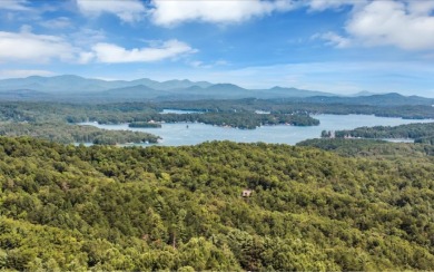 Lake Blue Ridge Homes for Sale Real Estate Lakefront Property GA,3