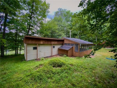 Minnesota Lake Homes for Sale, Lakefront Real Estate