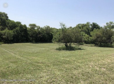 Greenbelt Lake Homes for Sale Real Estate Lakefront Property TX