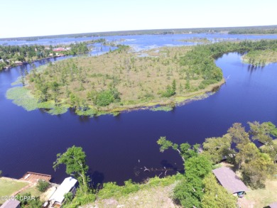 Deer Point Lake Homes for Sale Real Estate Lakefront Property FL