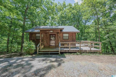 Alabama Lake Homes for Sale, Lakefront Real Estate