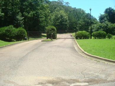 Aliceville Lake Homes for Sale Real Estate Lakefront Property AL