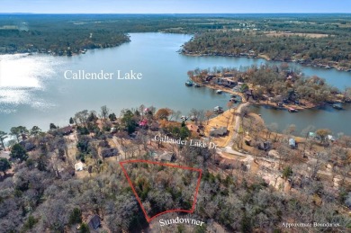 Callender Lake Homes for Sale Real Estate Lakefront Property TX,2