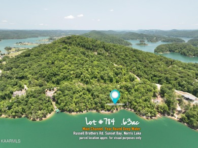 Norris Lake Homes for Sale Real Estate Lakefront Property TN
