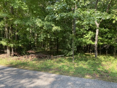 Eight Point Lake Homes for Sale Real Estate Lakefront Property MI