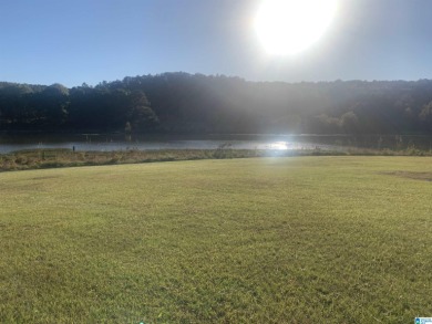 Alabama Lake Homes for Sale, Lakefront Real Estate