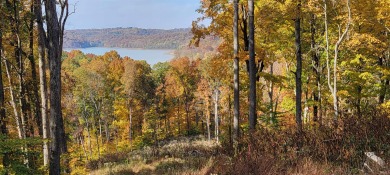 Grandview Lake Homes for Sale Real Estate Lakefront Property IN