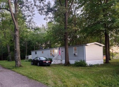 Jimmerson Lake Homes for Sale Real Estate Lakefront Property IN