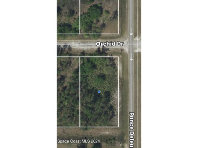 Lake Weohyakapka (Lake Walk-In-Water) Homes for Sale Real Estate ...