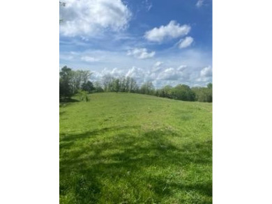 Lake Carnico Homes for Sale Real Estate Lakefront Property KY