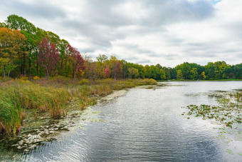 Austin Lake - Kalamazoo County Homes for Sale Real Estate Lakefront ...