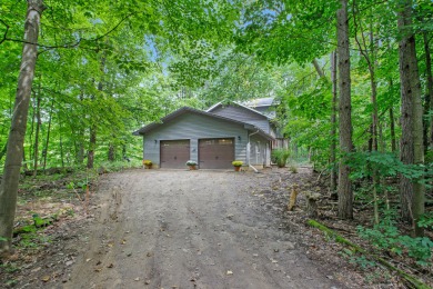 Lake Chapin Homes for Sale Real Estate Lakefront Property MI