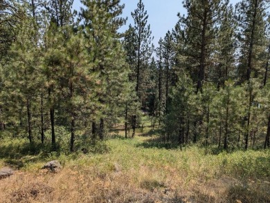 Syringa Drive lot: 17, New Meadows, ID 83654, 6042547